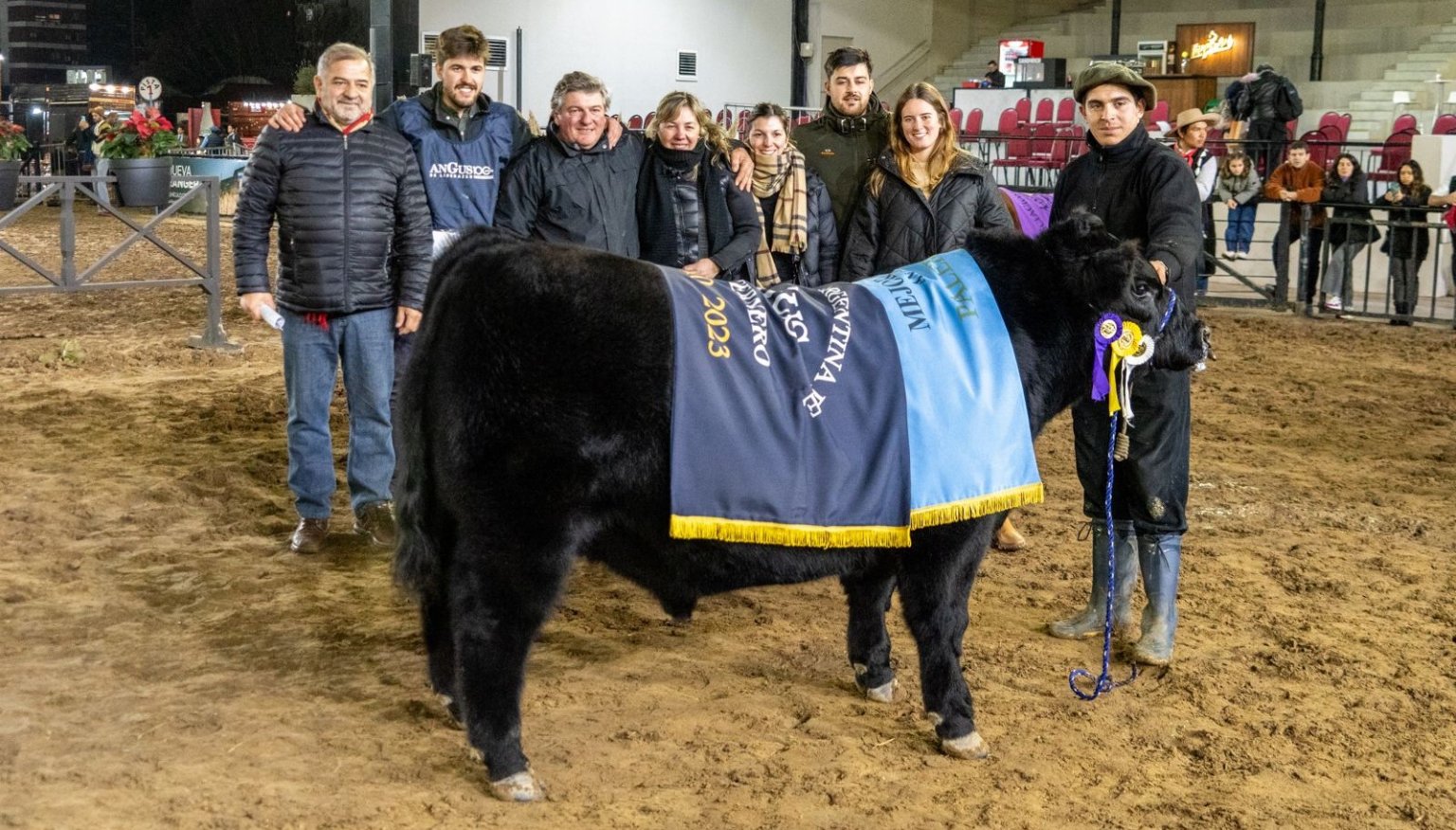 Por su popularidad, Angus concentra la mayor atención - Actualidad ...