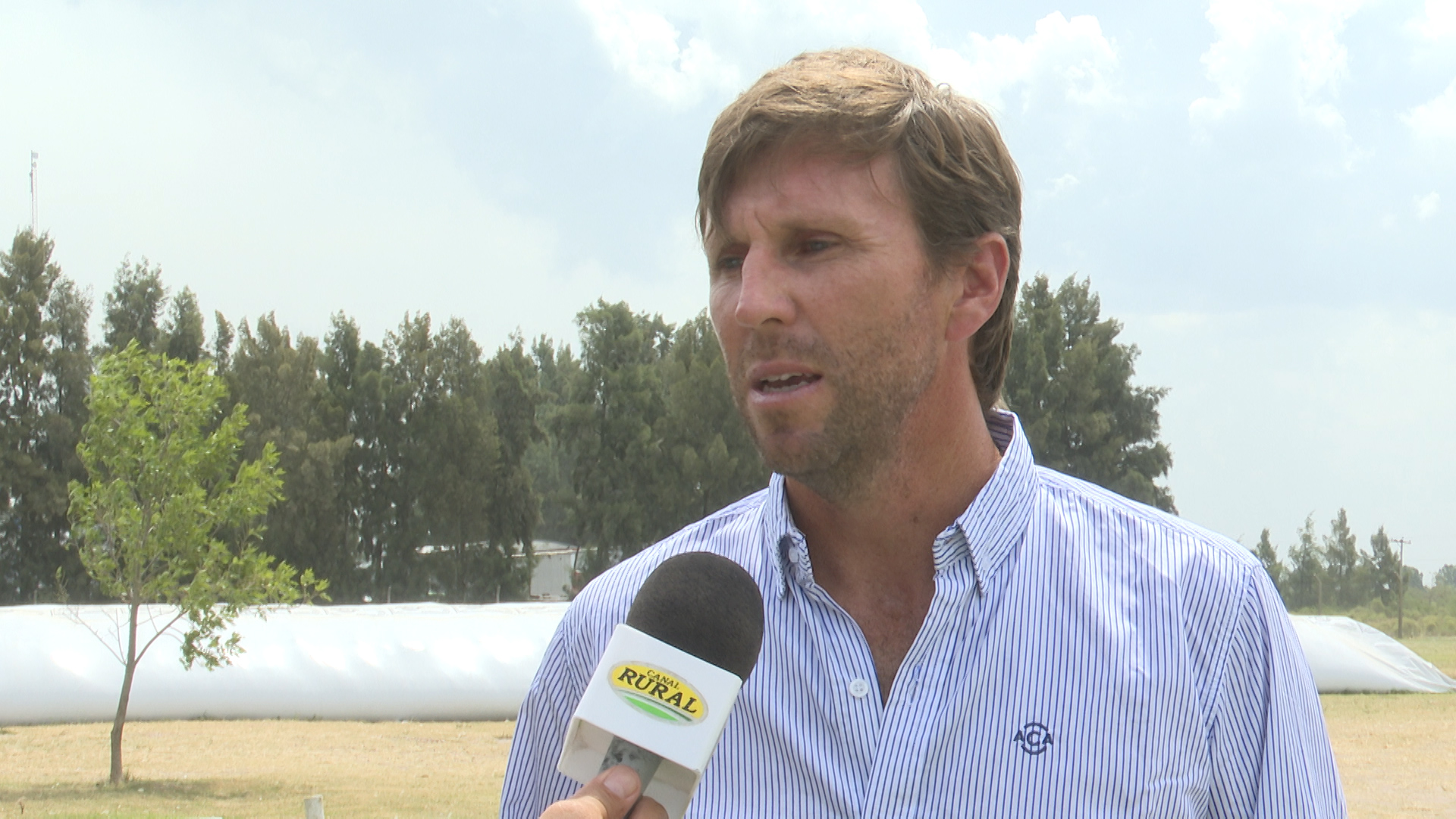 Alan Bain: "Tenemos muy buenas expectativas con la cosecha de maíz ...